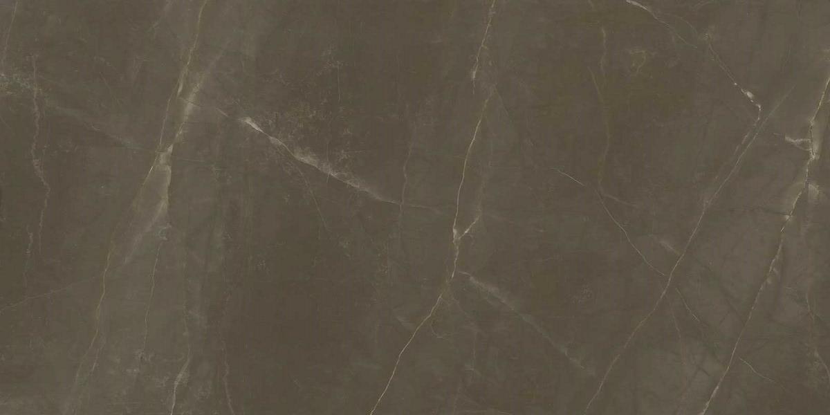 Pulpis - Тера ИН